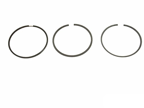 Goetze 08-319800-10 Piston Rings | Autoplicity