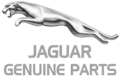 GENUINE JAGUAR C2D20066 Radiator Hose | Autoplicity