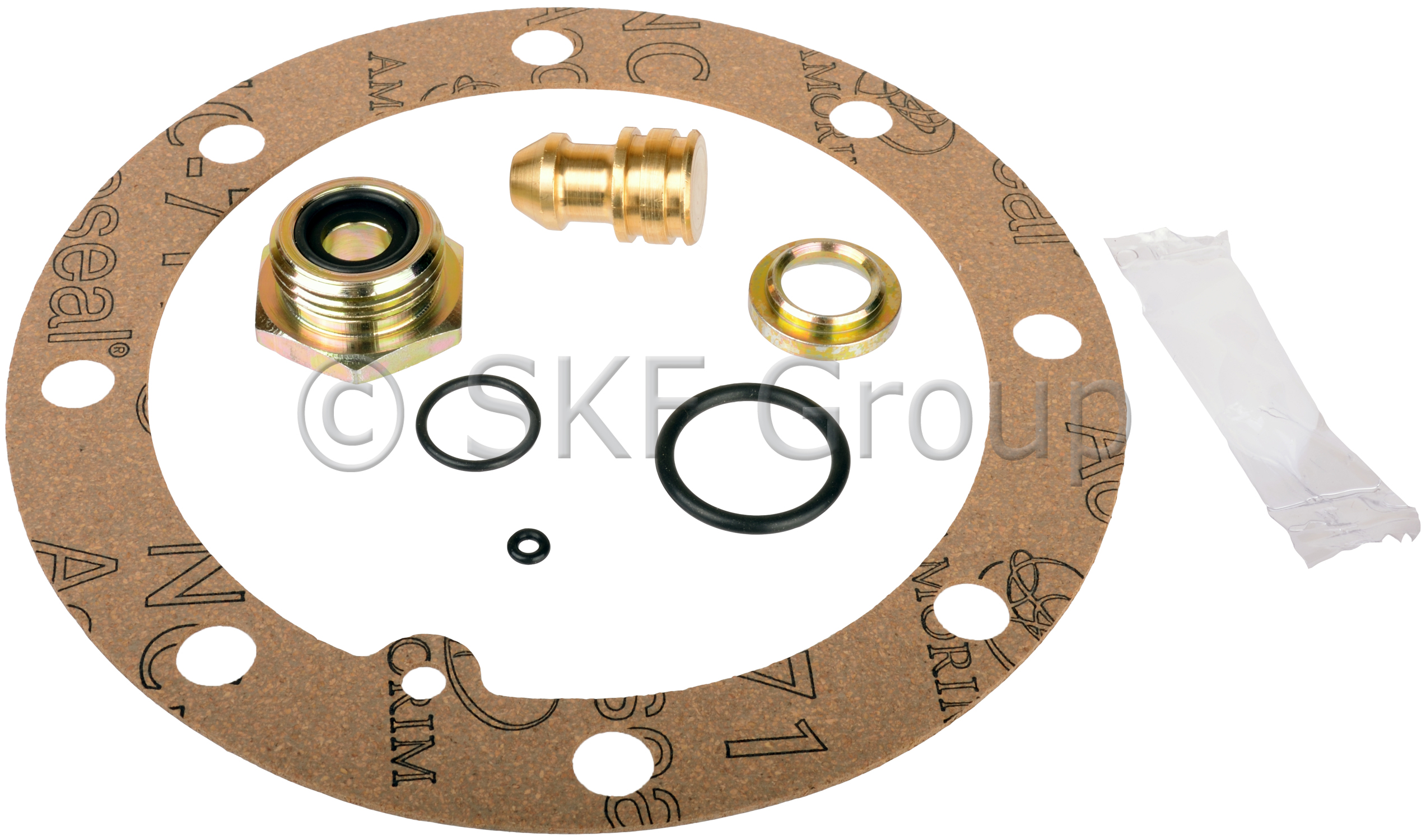 SKF 228 Air Dryer Valve Kit | Autoplicity