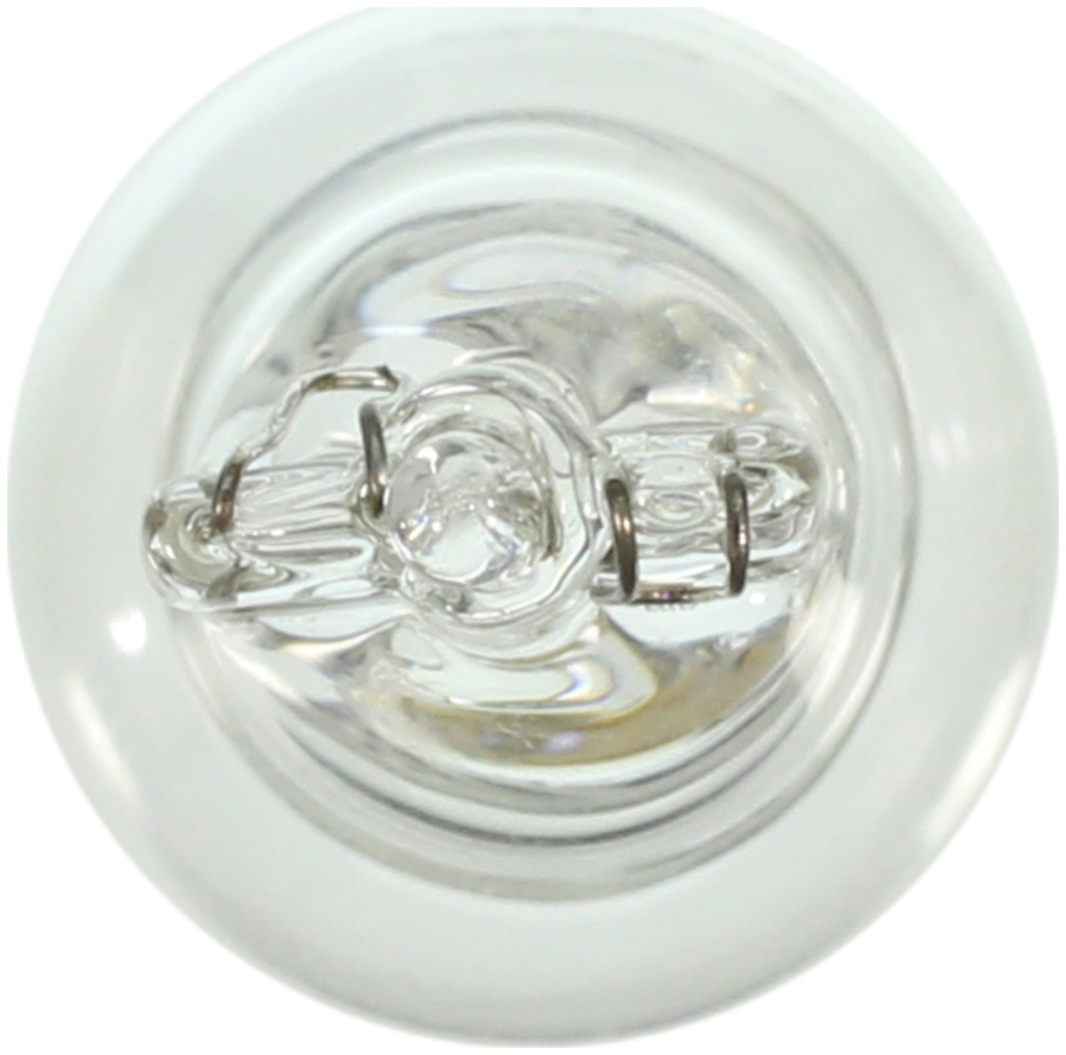 Wagner Lighting 904 Medium Standard Mini Lamp | Autoplicity