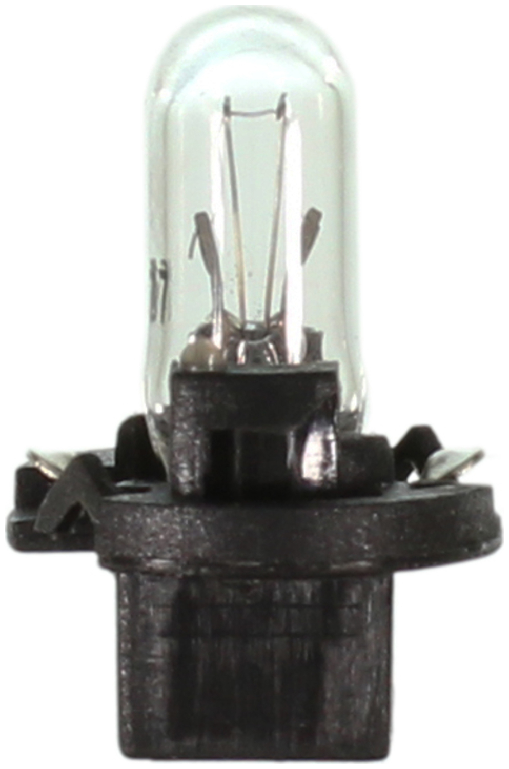 Wagner Lighting PC37 Medium Standard Mini Lamp | Autoplicity