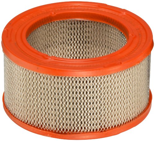 Fram CA76 AIR FILTER 6/CASE | Autoplicity
