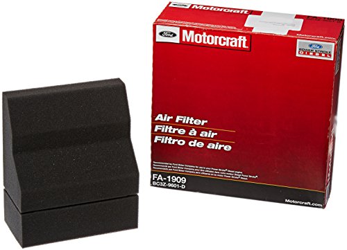 Motorcraft FA1909 Element Asy-Air | Autoplicity
