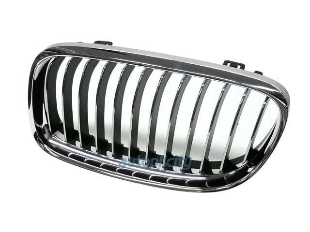 Genuine BMW 51-13-7-201-969 Grille | Autoplicity