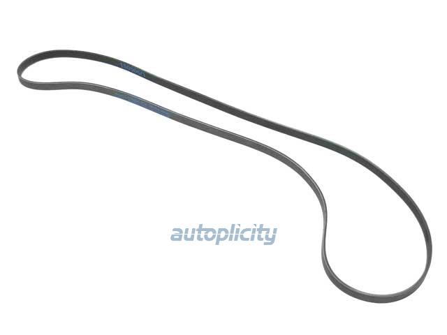 ContiTech 7PP-903-137 Belt 7dk X 2880 | Autoplicity