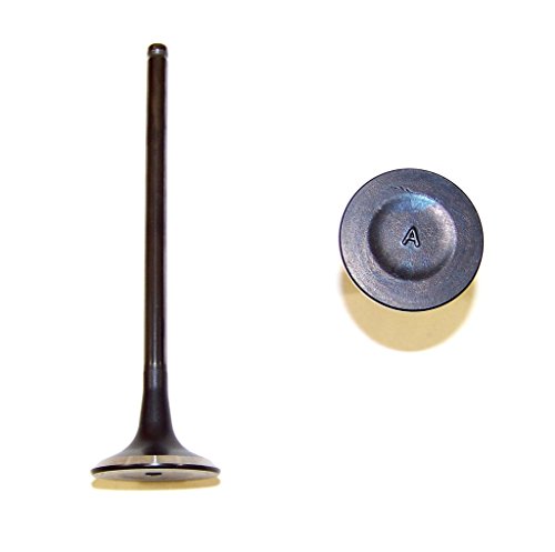 DNJ Engine Components EV168 Engine Exhaust Valve | Autoplicity DNJ Engine Components EV168 Engine Exhaust Valve | Autoplicity