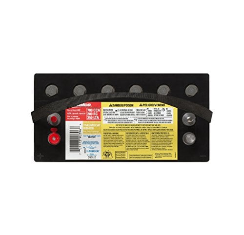 ACDelco 31AGMDCAT Battery Assembly Agm *cca 700) | Autoplicity