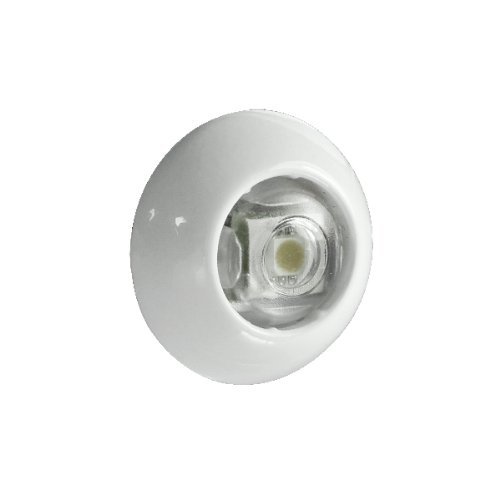 Lumitec 101053 Lumitec Exuma Courtesy Light White Housing Blue Light