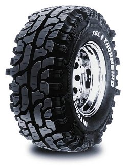 Interco 304 INTERCO TIRE COMPANY 304 Tire | Autoplicity