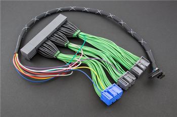 Boomslang Fabrication BF06011 Engine Wiring Harness | Autoplicity