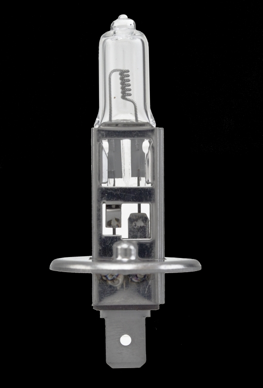 Hella H1 24V Hella (h1 24v) 24v Bulb | Autoplicity