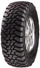 Accelera MT-01 | Autoplicity