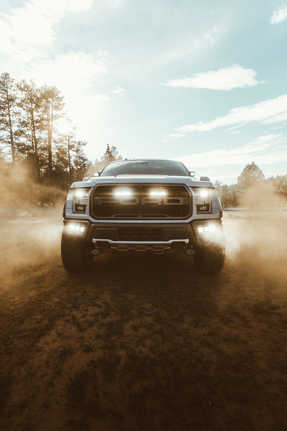 RIGID Industries 41610 Rigid 2017-2020 Ford Raptor Fog Light Mount Kit ...