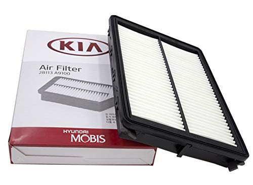 Kia Motor Cars 28113-A9100 Filter-Air Cleaner | Autoplicity