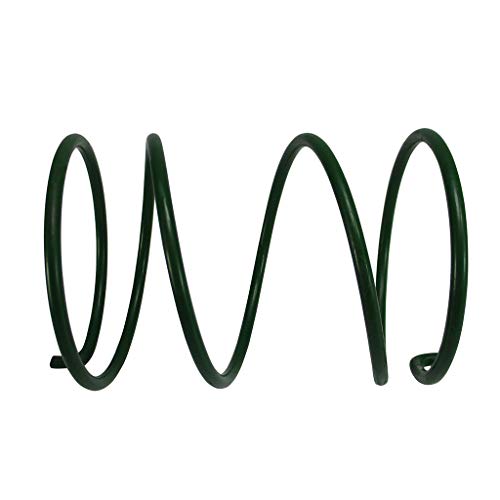 Comet 215699A Torque Converter Spring, Green | Autoplicity