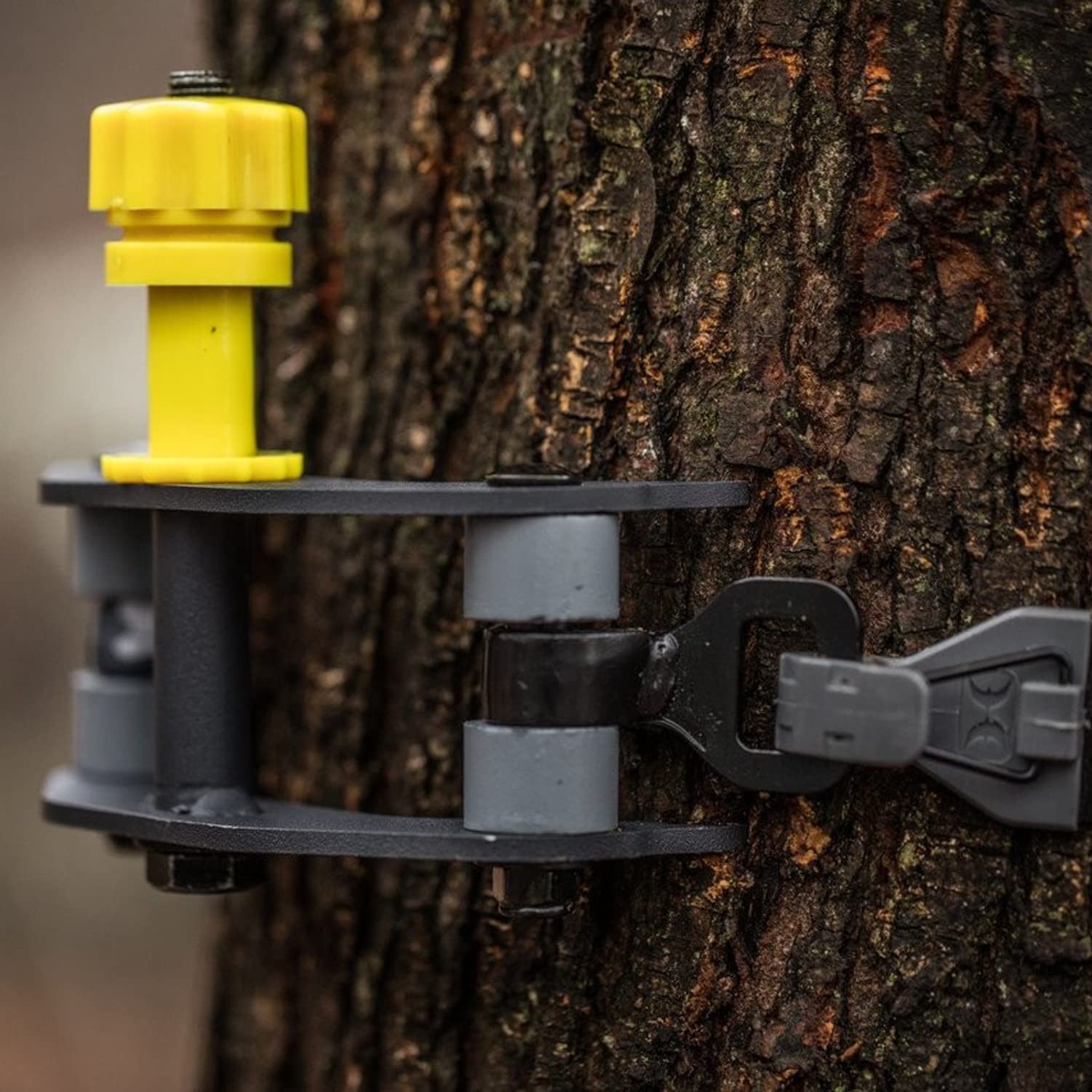 Hawk HWK-HA2026 Cruzr Tree Bracket | Autoplicity