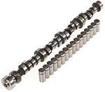 Mopar Performance P4452993AE ''Purple Shaft'' Camshaft Kits | Autoplicity