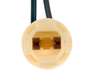 Dorman 85816 Light Bulb Sockets | Autoplicity