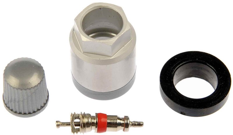 Dorman 609-117.1 Tpms Valve Core Kit | Autoplicity