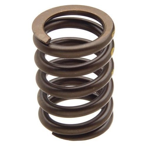 Pioneer Automotive RV-2412-4 VALVE SPRING -4pcs | Autoplicity