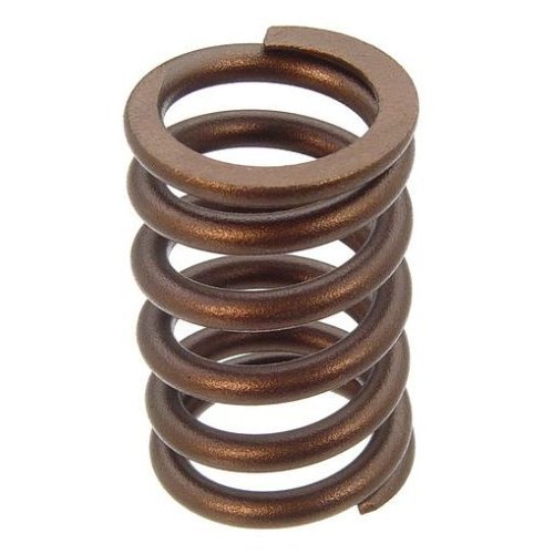 Pioneer Automotive RV-880-X-100 VALVE SPRING -100pcs | Autoplicity