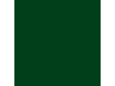 Dupli-Color DE1644 Paint Racing Grn(Hunter) Engine Paint | Autoplicity