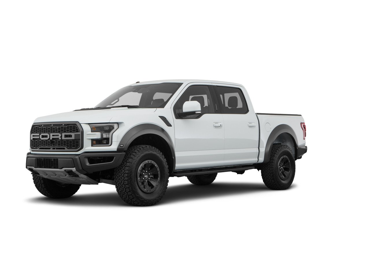 2017 Ford F-150 Raptor Parts | Autoplicity